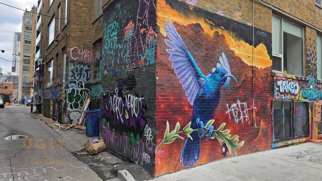 Toronto’s Graffiti Alley: A Colorful Adventure Full of Vibes and Vivid ...